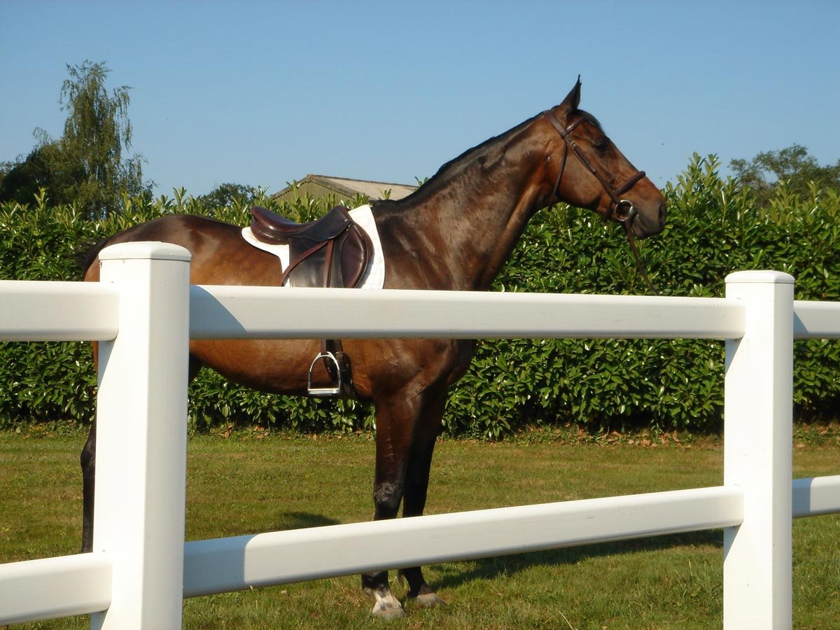 Paddock Fencing | Duralock